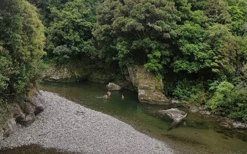 Kaitoke Regional Park | Freedom/Basic Camp | New Zealand